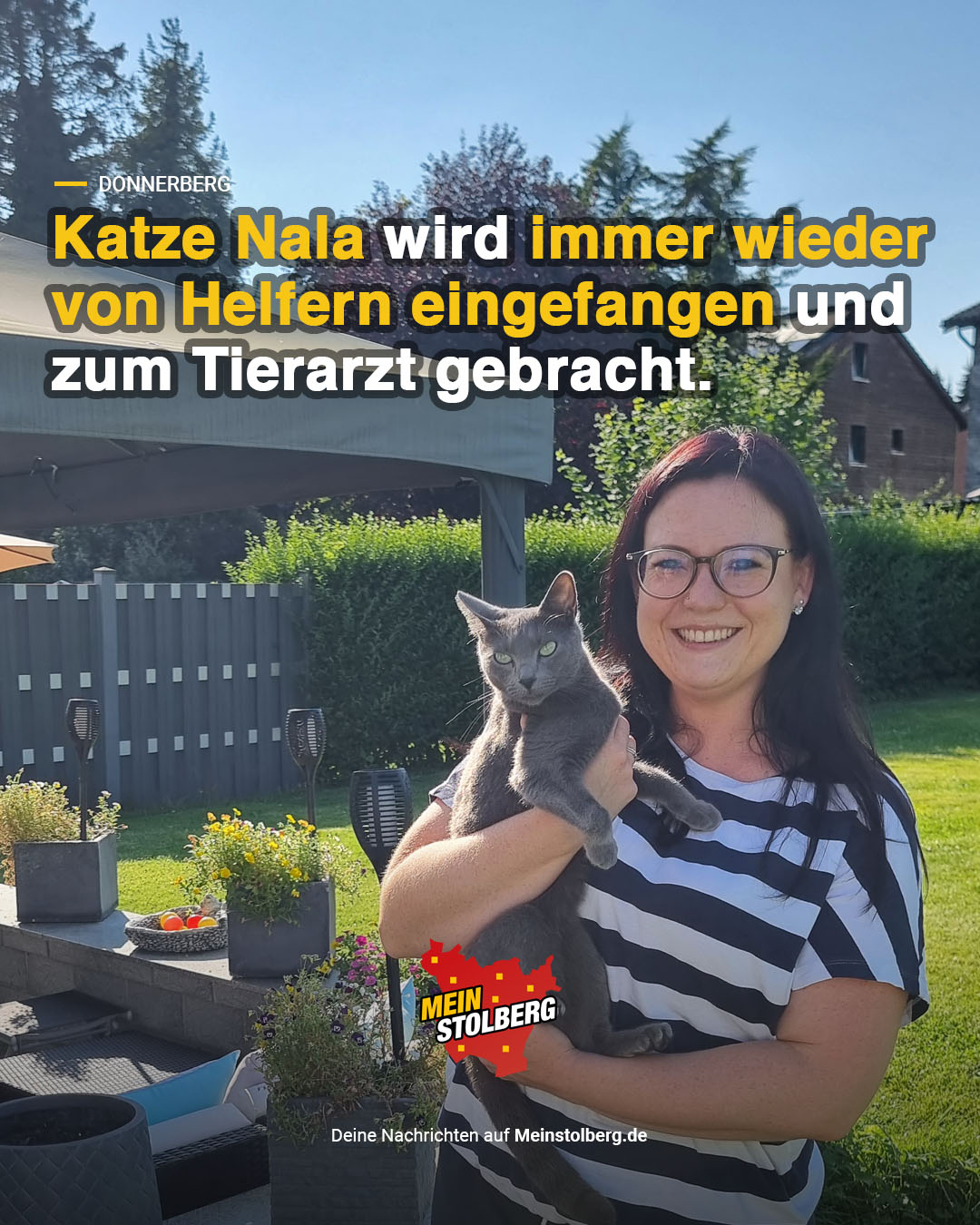 Donnerberg: Katze "Nala" wird immer wieder von Helfern eingefangen und ...