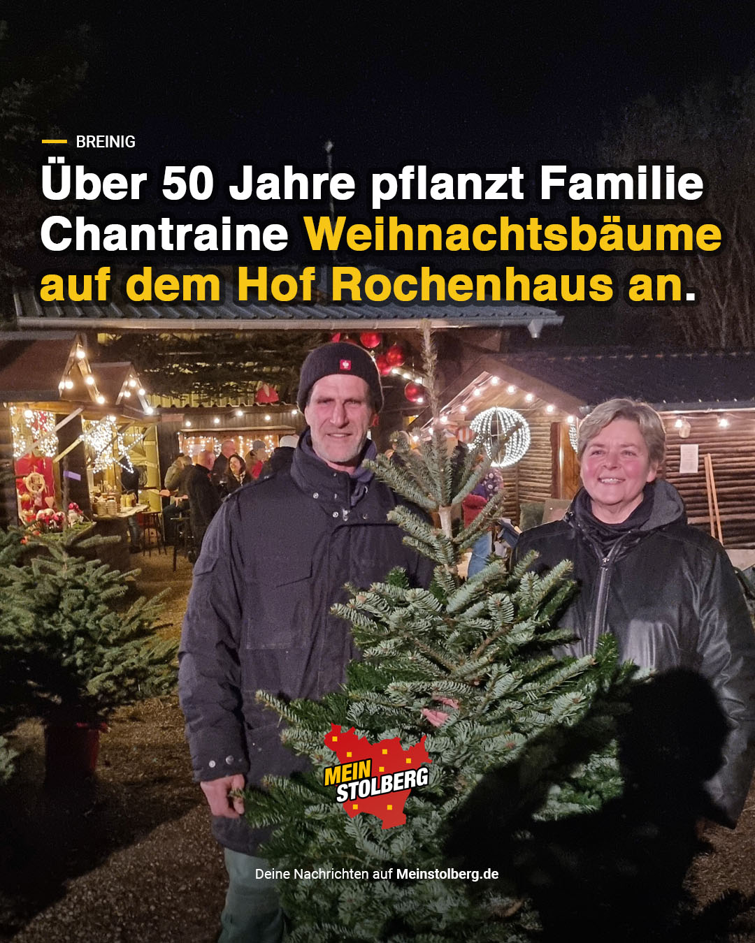 Breinig: Über 50 Jahre pflanzt Familie Chantraine Weihnachtsbäume auf ...