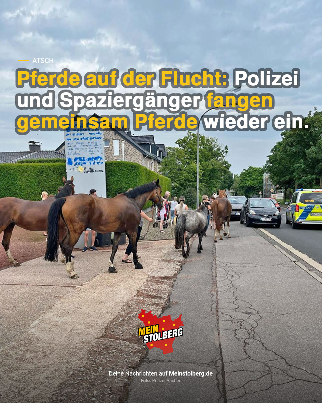 Atsch: Pferde auf der Flucht - Polizei und Spaziergänger stoppen Pferde ...